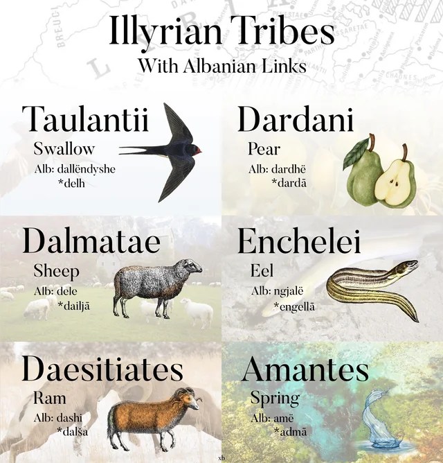 Illyrian tribes and the semantic and morphological links via the ...