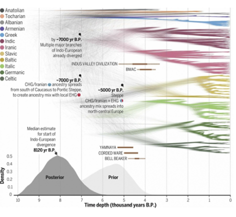 The Albanian language, the mother of languages – Balkan Academia